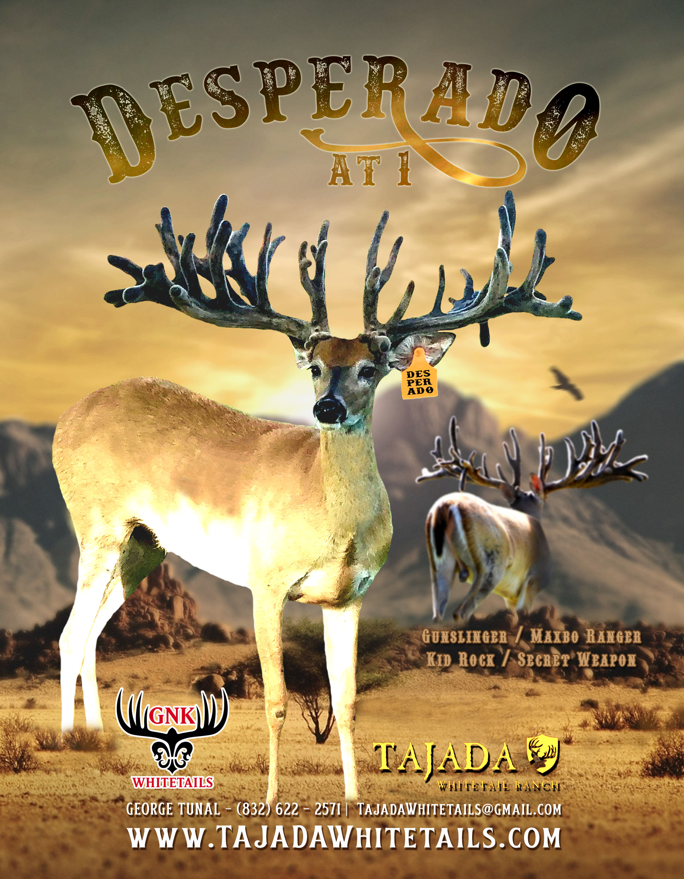 Tajada Whitetail Ranch - Premier Texas Whitetail Deer Breeding